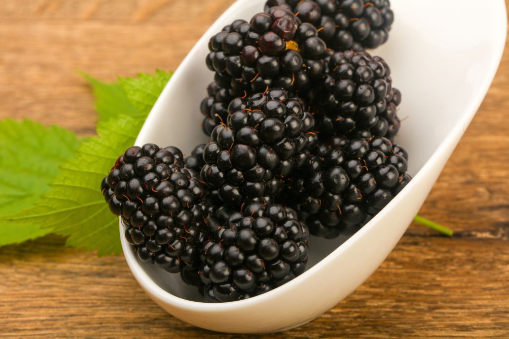 Puree Arete | Aseptic Blackberry Puree For Brewers, Foodies, Bakers, Chefs.