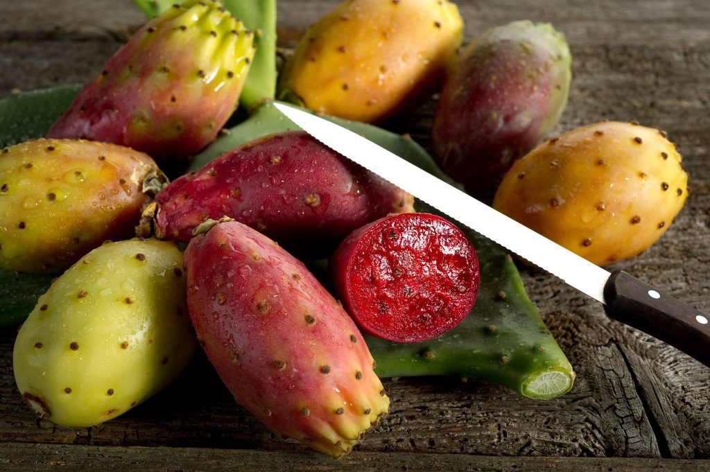 10255386 – prickly pear fruit | Puree Arete