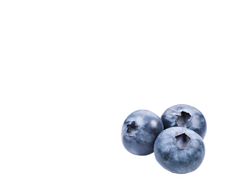 blueberry-bg | Puree Arete