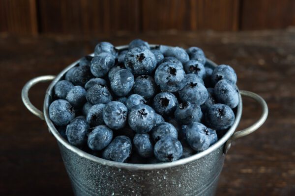 Blueberry: the Maine attraction for Brewers | Puree Arete